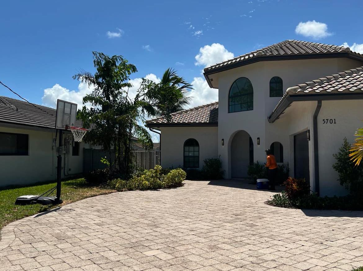 Tree Worx South – Professional Tree Care Solutions